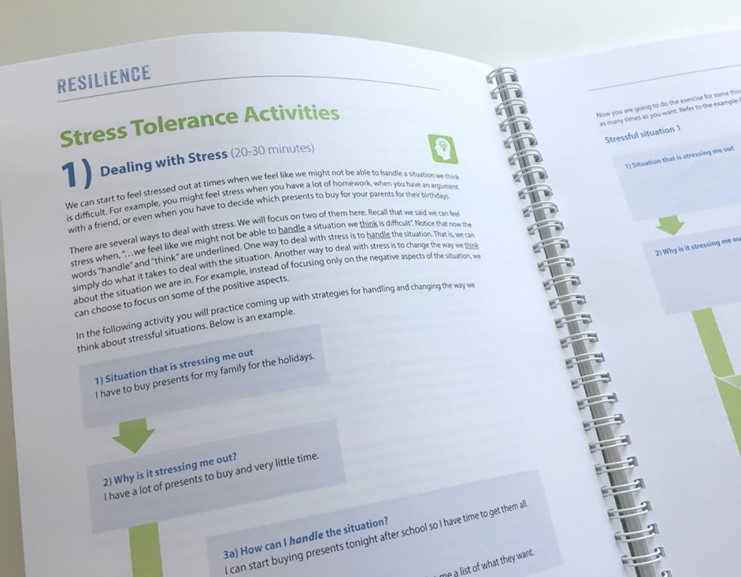 Tessera Teacher Playbook - NeigerDesign